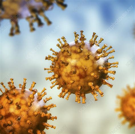 Chickenpox Cases Kaggle