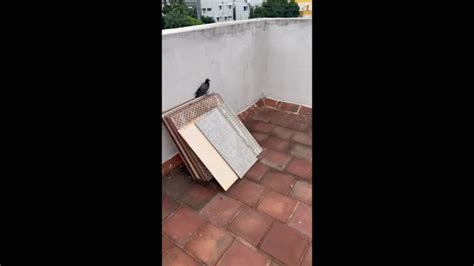 Sekar Subramanian On Linkedin An Easy Way To Pocket Sucess Is To Have A Bit Of Love And