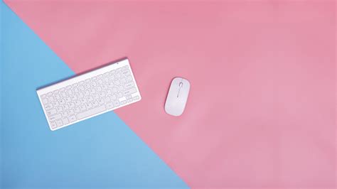 파란색과 분홍색 배경에 키보드와 마우스 맨 위 보기입니다 복사 공간을 복사합니다 분홍에 대한 스톡 사진 및 기타 이미지 분홍 숫자키패드 컴퓨터 키보드 Istock