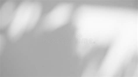 Blur Overlay Shadow Leaves Background Stock Image Image Of Gray Blur Overlay Shadow Leaves Background Stock Image Image Of Gray