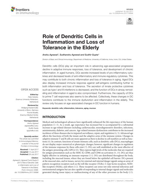 Pdf Role Of Dendritic Cells In Inflammation And Loss Of Tolerance In
