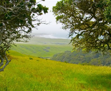 Arroyo Laguna Oaks Vista Fine Art Photo Cambria Hearst Ranch By Michael