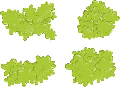 Bush Cartoon Vector Bush Clipart Bush Bushes Png And Vector With