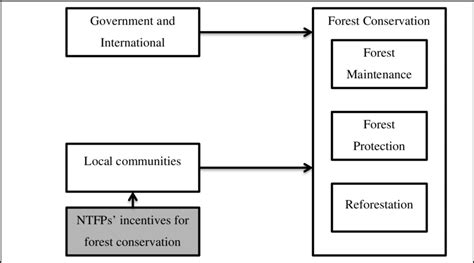 Forest Conservation Practices Source Author 2016 Download