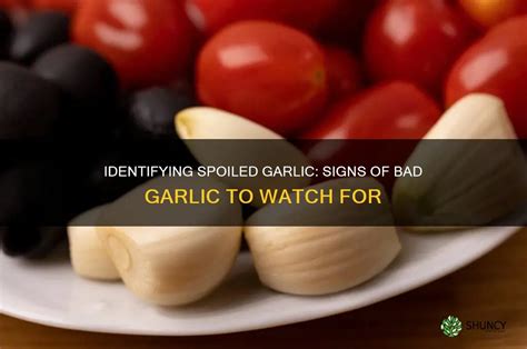 Identifying Spoiled Garlic Signs Of Bad Garlic To Watch For Shuncy
