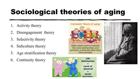 Theories Of Aging Pptx