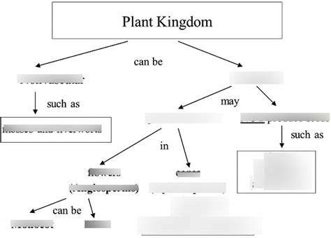 Science Kingdom Plantae Diagram Diagram Quizlet