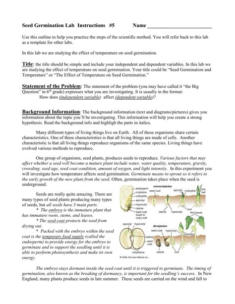 Seed Germination Lab Temperature S Effect