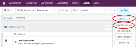 search report with documents ebundle support