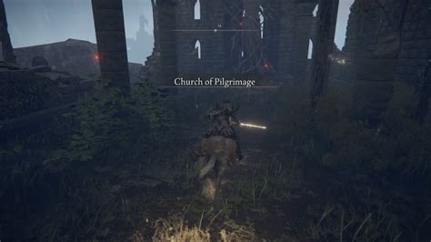 So I Was Testing The Coded Sword On The Undead When This Happened R