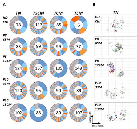 3 3 Tcr Sequencing Analysis Download Scientific Diagram