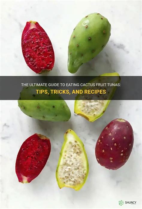 The Ultimate Guide To Eating Cactus Fruit Tunas Tips Tricks And