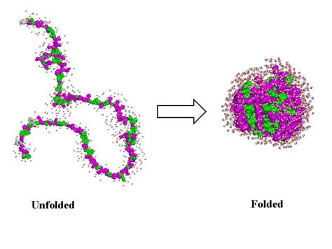 Protein Folding And Degradation Biochemistry Medbullets Step 1