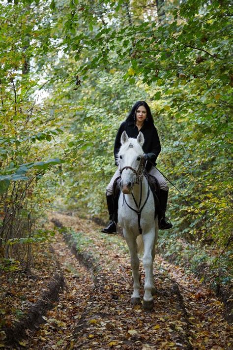 Frau Die Ein Pferd Im Wald Reitet Stockfoto Bild Von Recht Voll