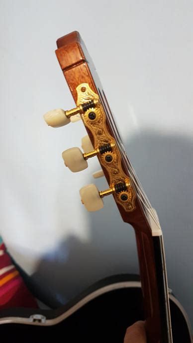 Klasicna Gitara