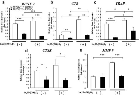 Expressions Of Osteoclast Related Genes Were Restrained By Runx2