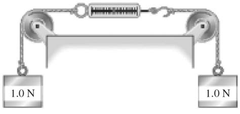 Solved In The Figure What Does The Spring Scale Read The Chegg