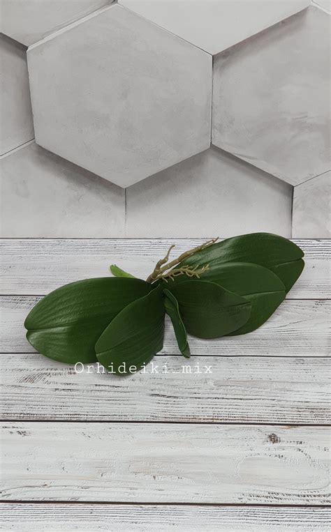Искусственные Листья Орхидеи 26см в Разложеном Состоянии 32см — Купить Недорого на Bigl Ua