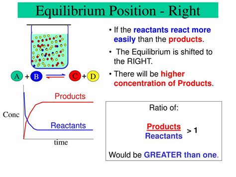 What Is An Equilibrium Position At Lucy Pie Blog