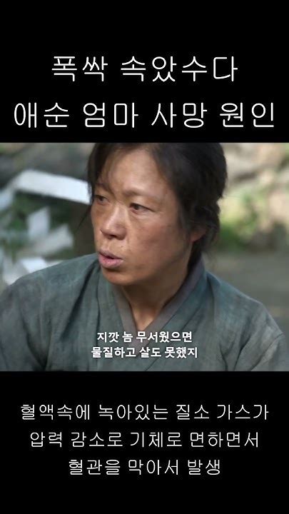 [폭싹 속았수다] 애순 엄마의 사망 원인 잠수병 Youtube