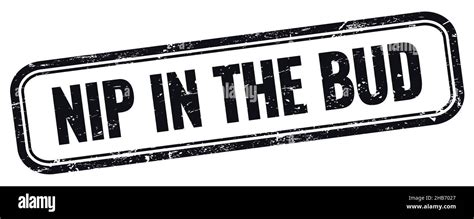 Nip In The Bud Word Hi Res Stock Photography And Images Alamy