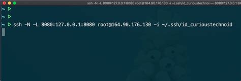 Mojolicious Hello World With Mojoliciouslite The Curious Technoid