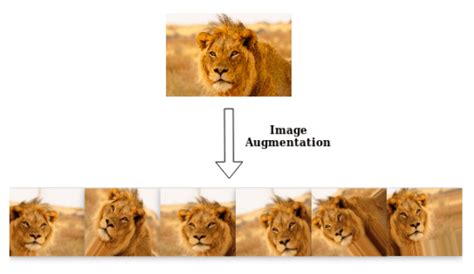 Need More Data Data Augmentation For Machine Learning