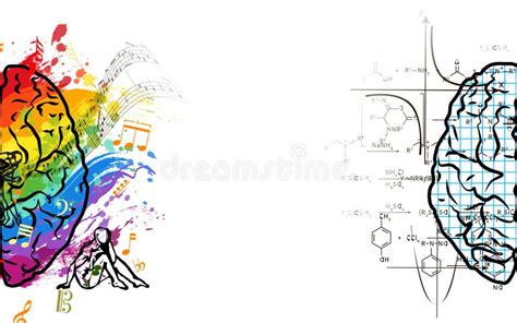 Human Brain S Functions Stock Illustration Illustration Of Expertise