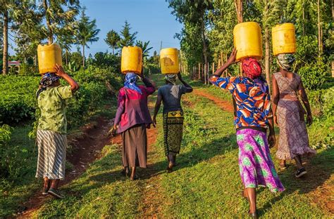 Container With The Most Water — Typescript Algorithm By Gikunda Mbiriri Medium