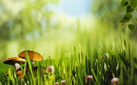 怎样才算“自胜者强” 知乎