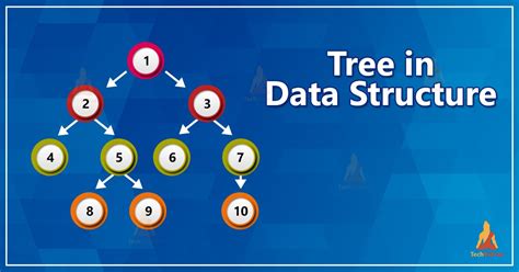 How To Draw A Tree Data Structure