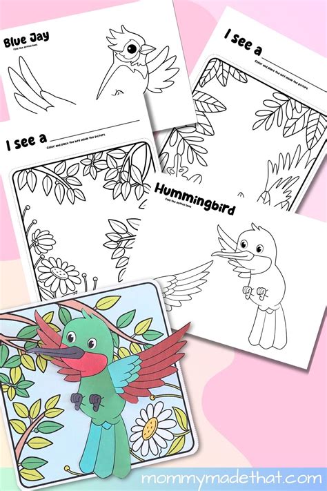 3d Bird Coloring Pages And Their Habitats Free Printable