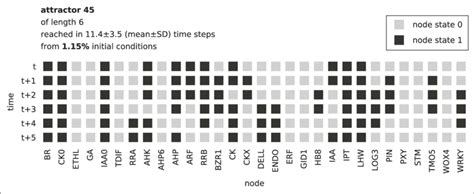Boolsi Output Showing An Attractor Of A 30 Node Network Model Of