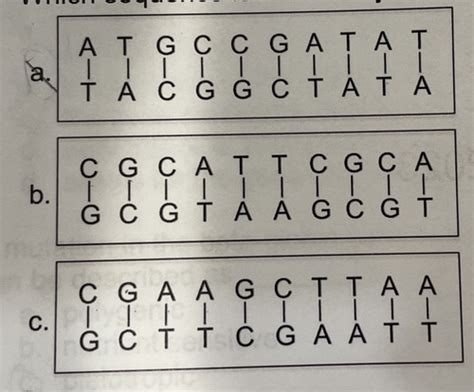 EXAM 3 Flashcards Quizlet