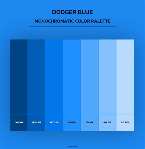 Dodger Blue Color Palettes