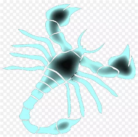 天蝎座占星术星座黄道十二 金牛座png图片素材下载图片编号2365938 Png素材网