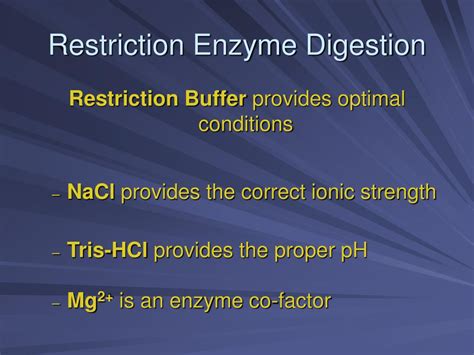 Ppt Restriction Digestion And Analysis Of Lambda Dna Kit Powerpoint Presentation Id 503292