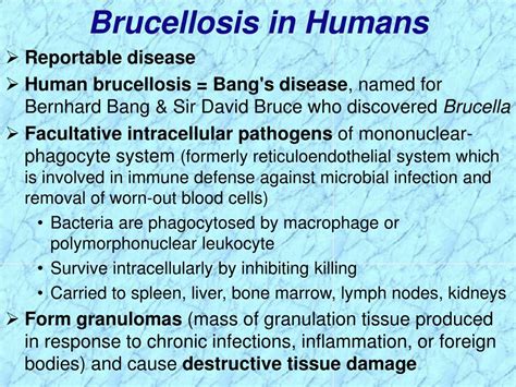 Ppt Bordetella Francisella And Brucella Powerpoint Presentation Id 148417