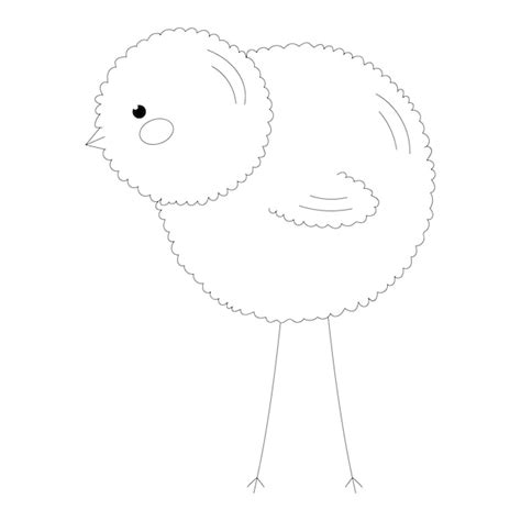 Pollito Dibujado A Mano Con Piernas Largas Vector Premium