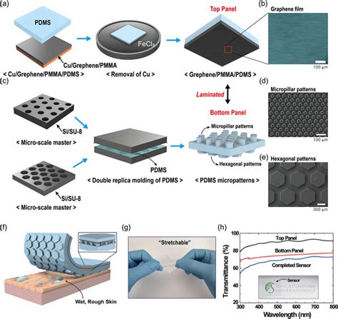 Graphene Pressure Sensor Patch A Schematic Illustrations Showing Download Scientific Diagram