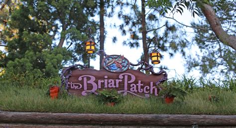 The Briar Patch T Shop Critter Counter Disneyland Park