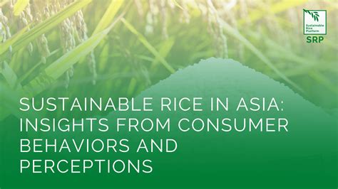 Sustainable Rice In Asia Insights From Consumer Behaviors And