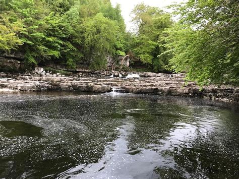 Redmire Force All You Need To Know Before You Go 2024