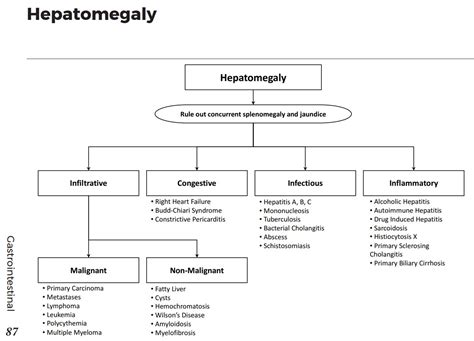 Hepatomegaly Differential Diagnosis Algorithm Malignant • Primary