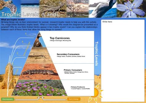 Trophic Levels Land NACC Northern Agricultural Catchments Council