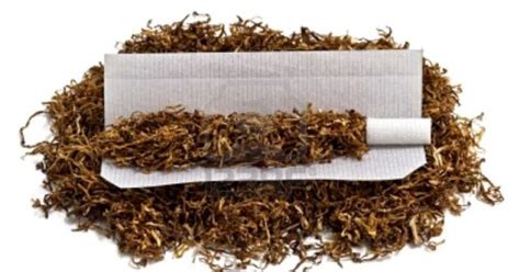 გასახვევი თამბაქო ტაბულა