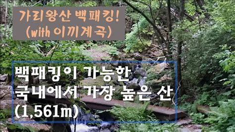 가리왕산1561m 백패킹 ㅣ 백패킹이 가능한 가장 높은 산 ㅣ 이끼계곡 ㅣ 정선 Youtube
