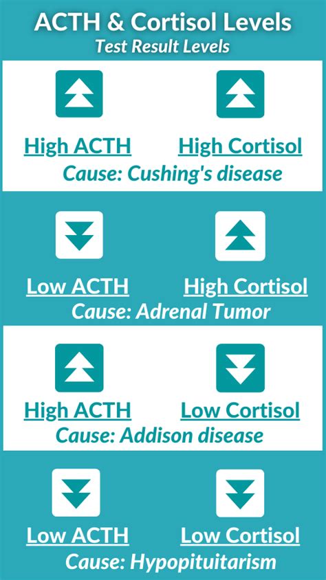 Acth Hormone Test Importance Of Normal Acth Levels Causes Of High