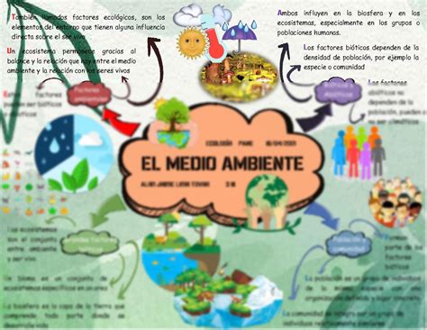 Ecología Y Medio Ambiente Guía Completa Partido Verde