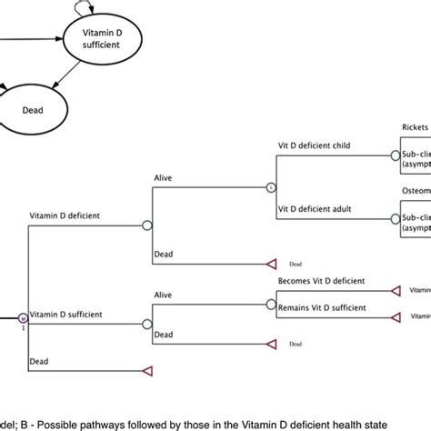 Illustration Of The Model Structure Download Scientific Diagram